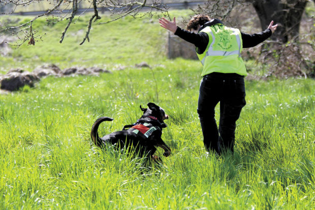 A little luck, constant training help prepare 'cadaver dogs'