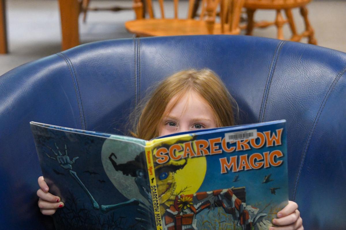 Friends of the Longview Public Library to host book sale