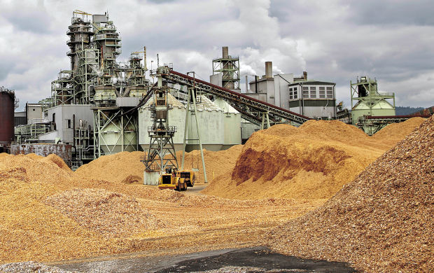 Leadership at fast-growing KapStone sees a 'perfect fit' in Longview Fibre