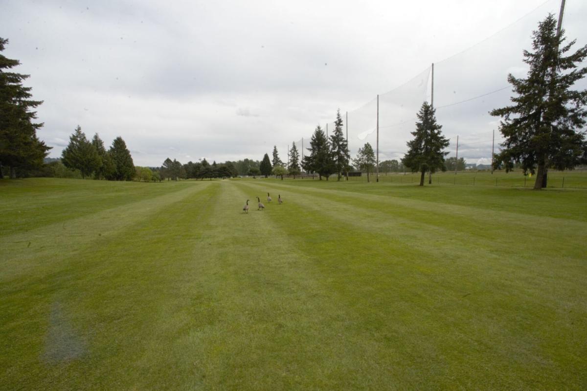 Boys High School Golf: Keesee leads Kelso over Ridgefield