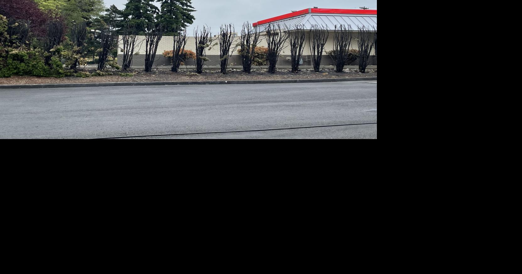Hedges burned to cinder between Burger King and Jiffy Lube in Kelso