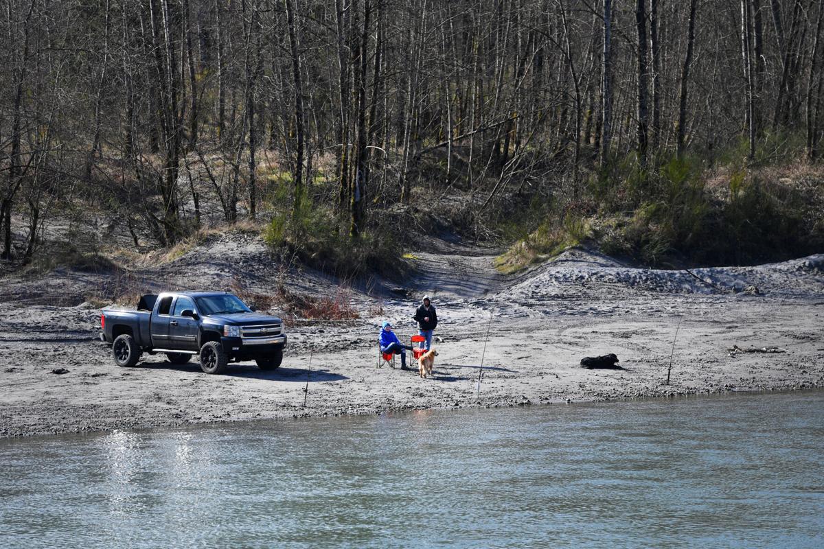 The Guide's Forecast: Cowlitz River winter steelhead run starting to ...