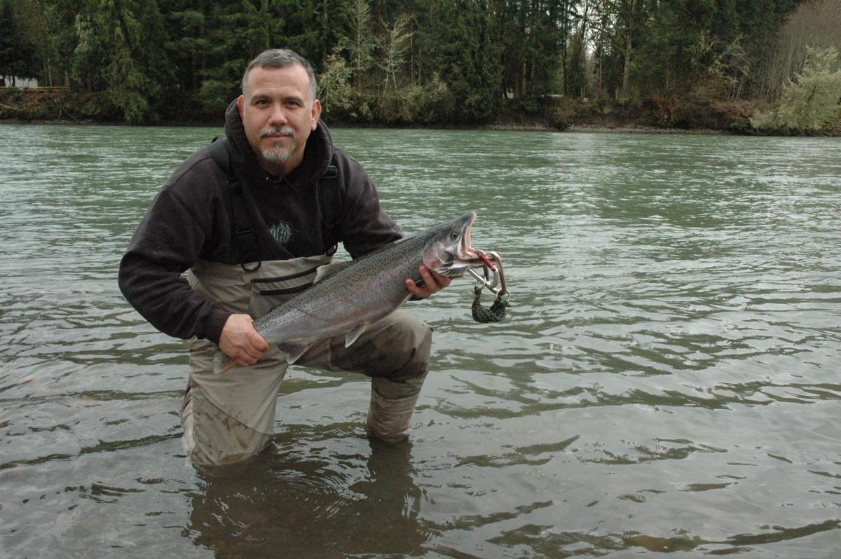 Cowlitz River now yields highest winter steelhead catches in March and ...