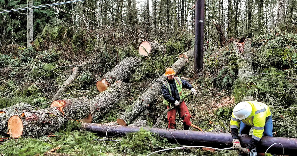 Power restored for almost all Cowlitz PUD customers following storm