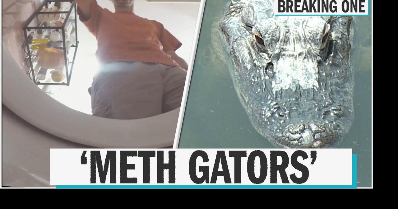Police warn flushing drugs could create 'meth gators'