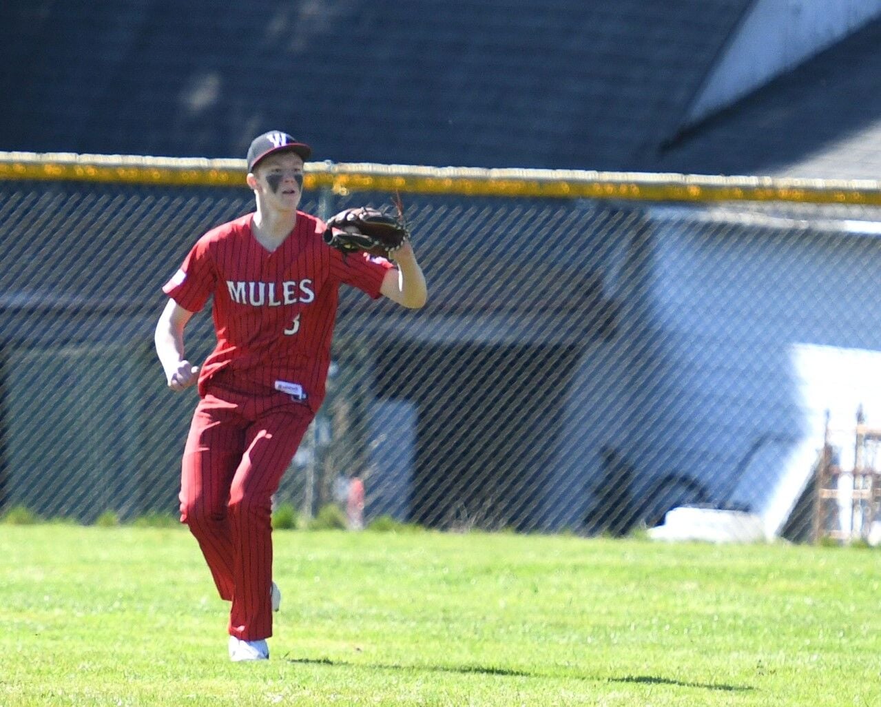 Young named TDN high school baseball player of the week