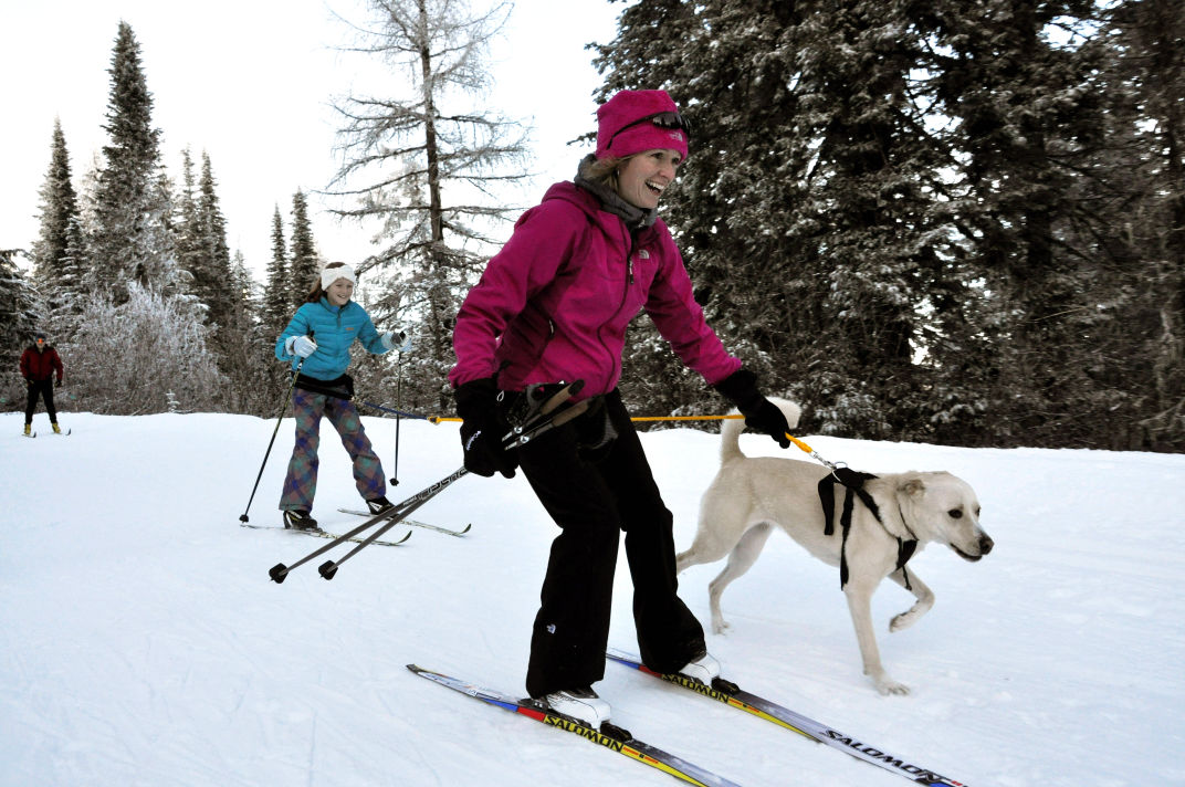 Winter enthusiasts with dogs discover joys of skijoring