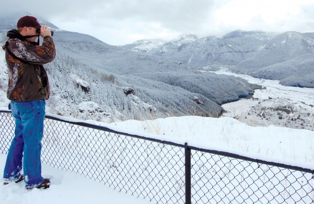 Snow levels expected to drop to 300 feet in Longview-Kelso area