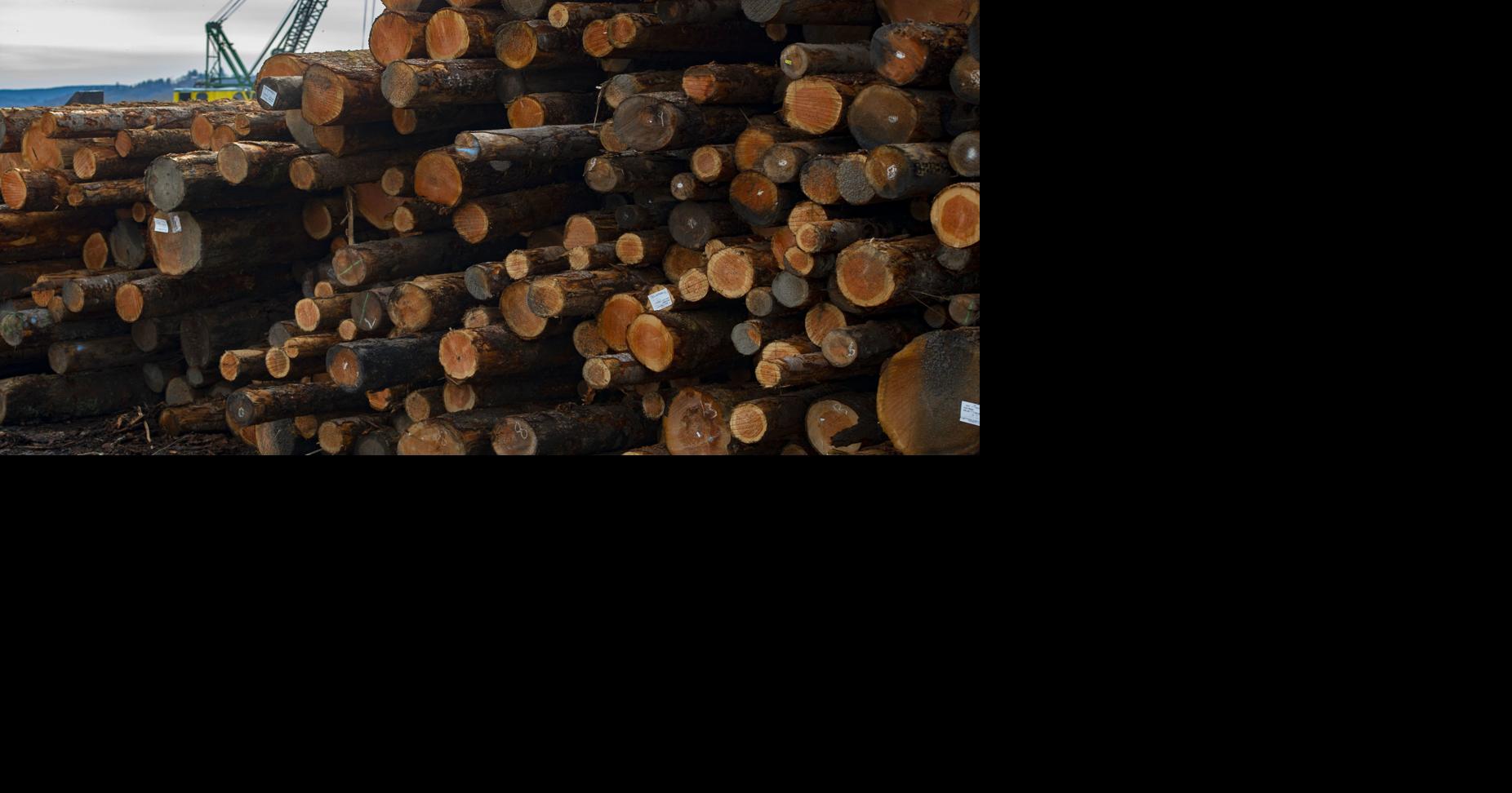 Do falling lumber prices hint at economic trouble ahead?
