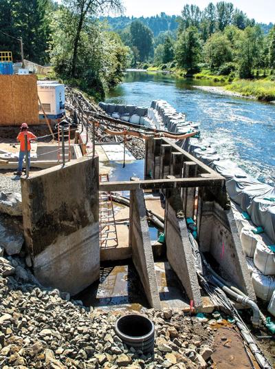 News Photo: Kalama River fish trap