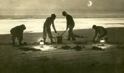 Toxin closes down razor clam harvest on Oregon Coast