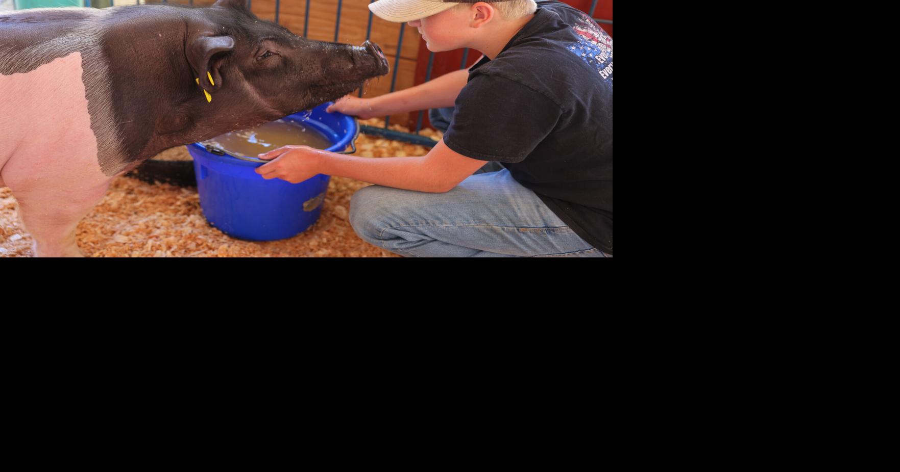 PHOTOS: 2023 Castle Rock Fair