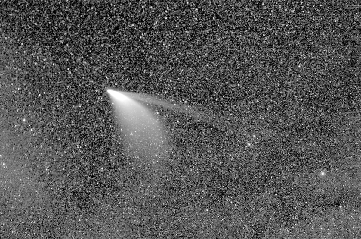 Newly discovered comet an 'easy, easy view' in the night sky