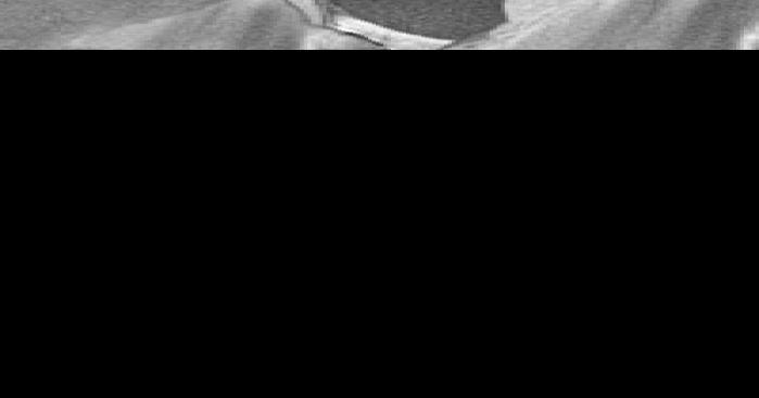 Martha ‘Jane’ Ehrlich