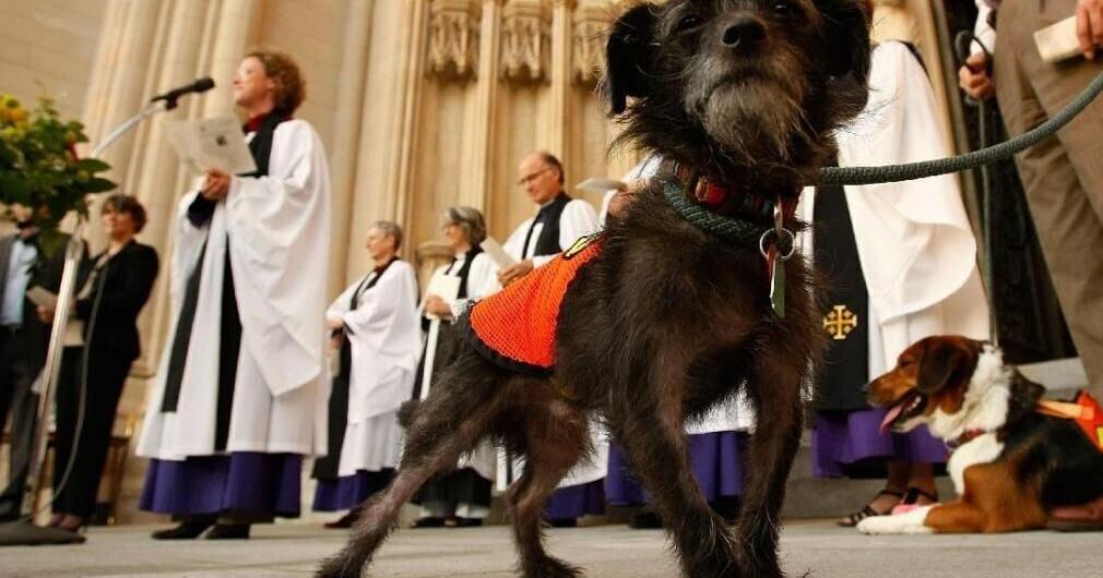 Longview First Christian Church to host animal blessings Sunday