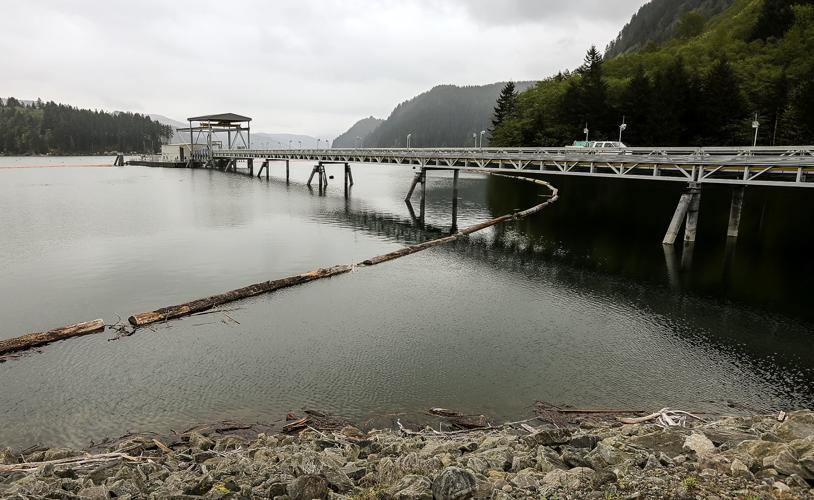 Utilities want change in Lewis recovery strategy to save $160M