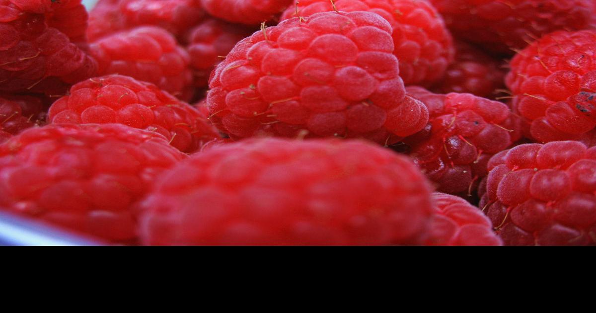 Record year for Washington raspberry harvest