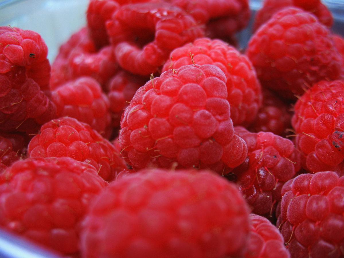 Record year for Washington raspberry harvest