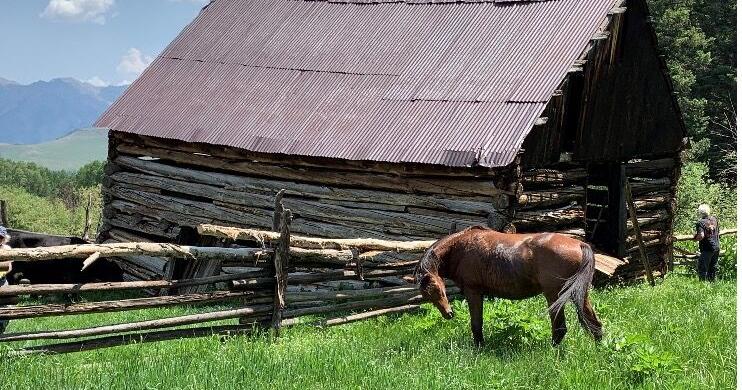 Schmid Ranch restoration project progresses | News | telluridenews.com