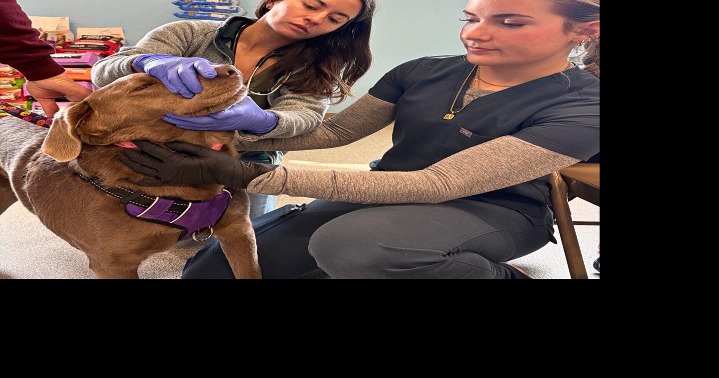 ‘The human-animal bond is precious’ | News | telluridenews.com