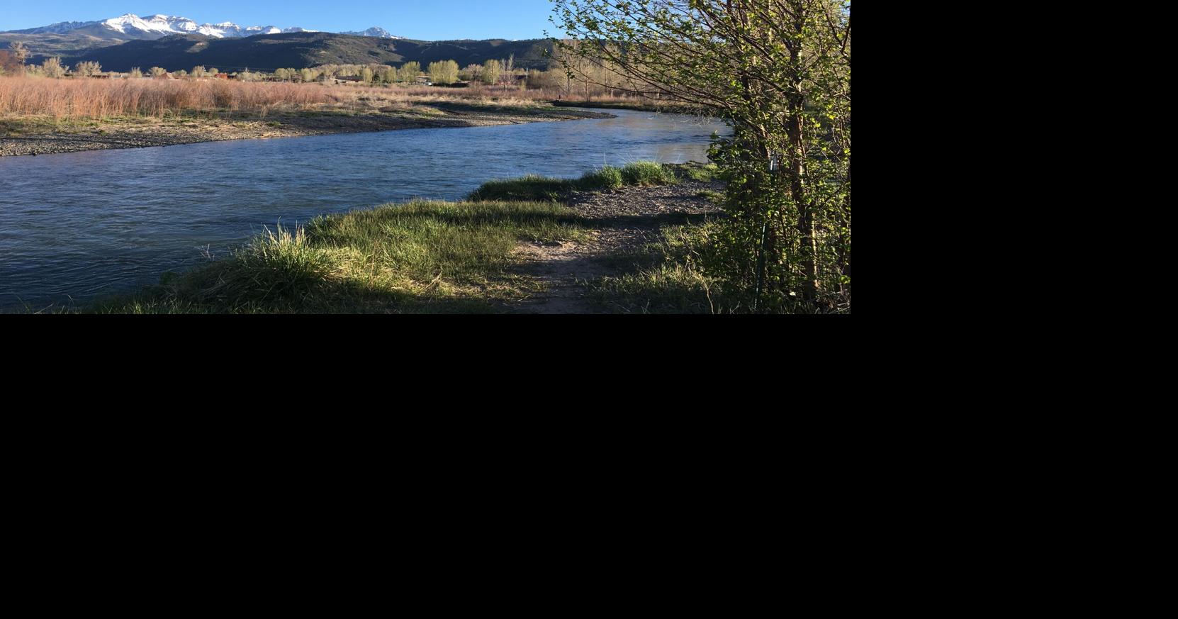 Birds, bees, rivers and trees | News | telluridenews.com