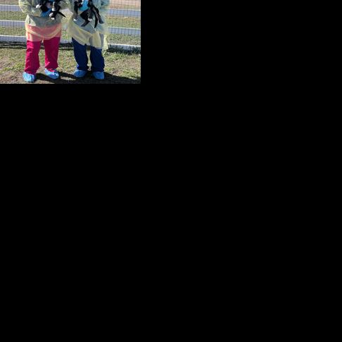 Not a worm | News | telluridenews.com