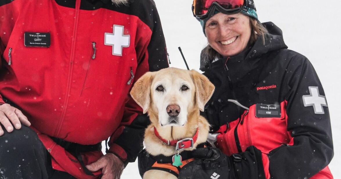 Avalanche rescue dog Lady Bee dies after 13 years of service | News ...