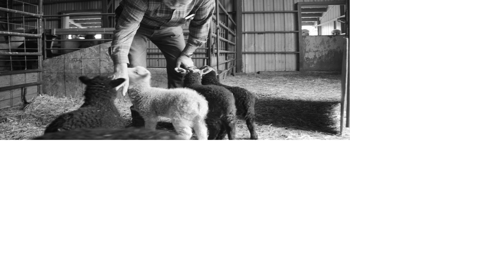 Local portraits show is this Sunday | Norwood Post | telluridenews.com