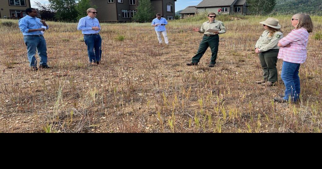 The potential to build affordable housing on federal land grows | News ...