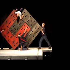 Aerial feats, gorgeous dancing and performing pets | Arts ...