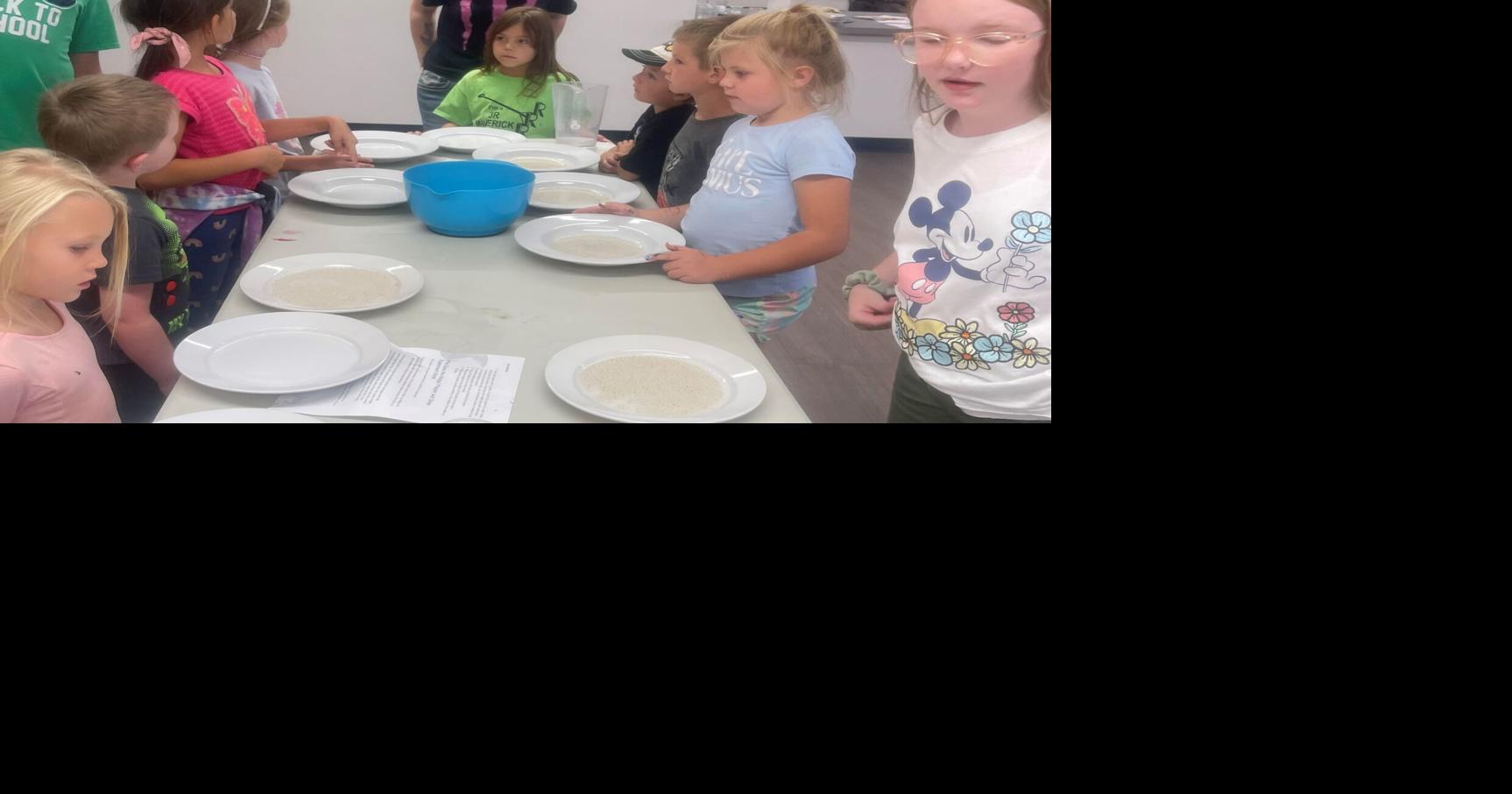 Lone Cone Library picks up STEAM | | telluridenews.com