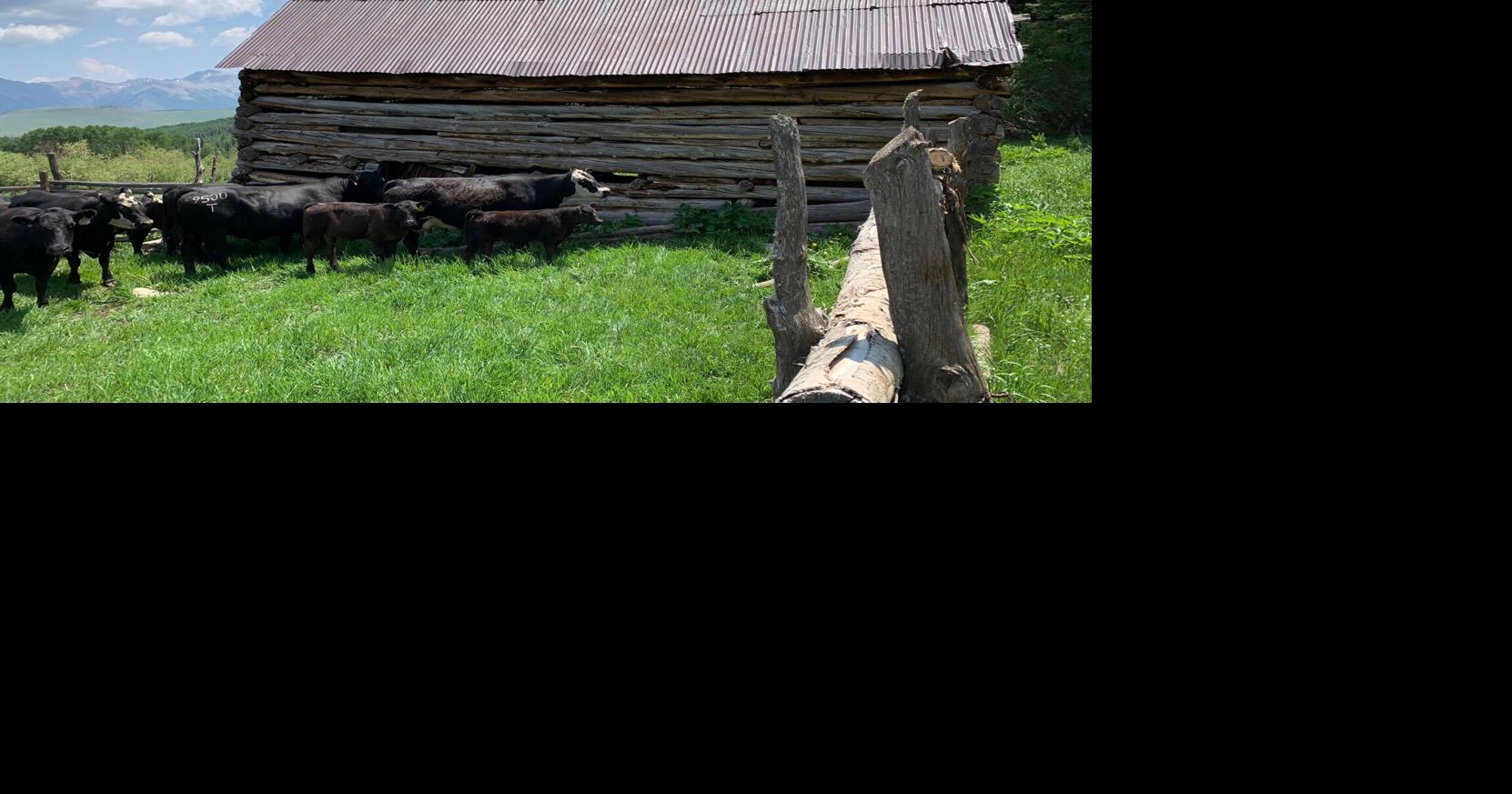 Schmid Family Ranch needs some TLC | News | telluridenews.com