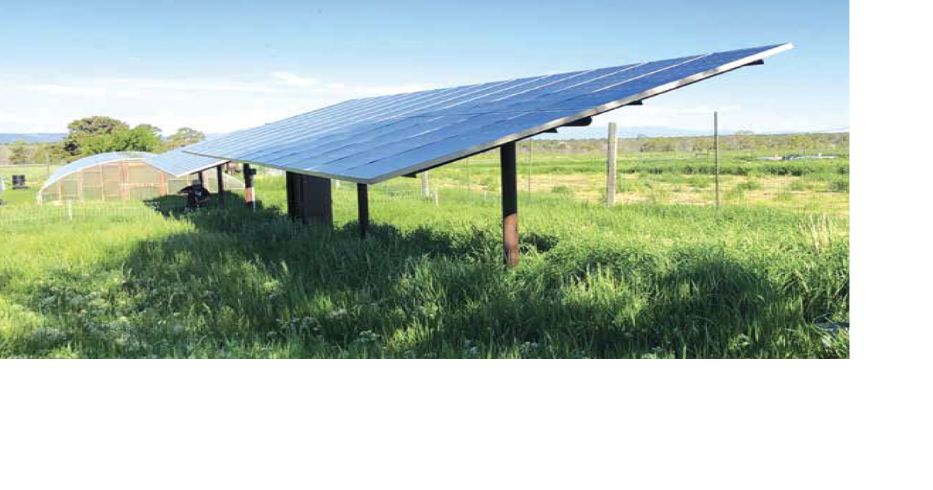 Indian Ridge Farm earns soil health award | The Norwood Post ...