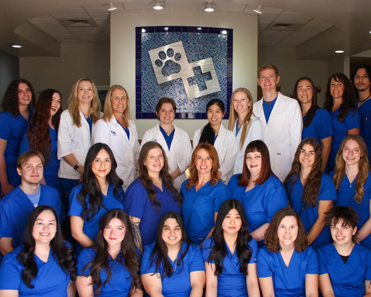 Tempe clinic makes cats purr, dogs happy | Business | tempenews.com