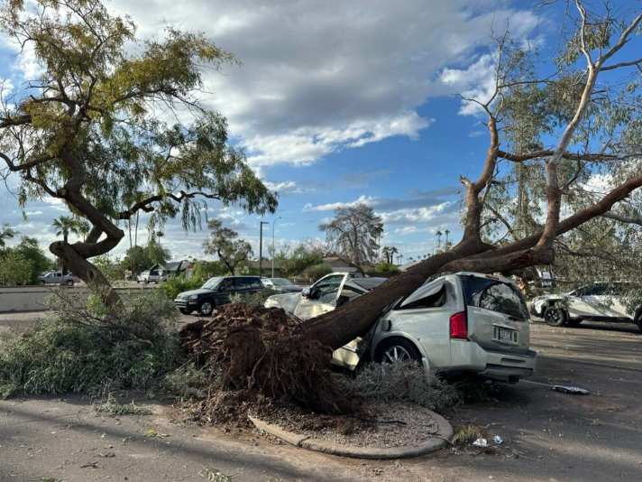 2025 couldn’t spell ‘tempest’ without Tempe | City News | tempenews.com