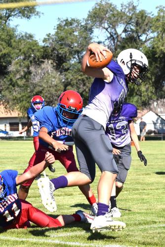 Terry junior high team comes up short against Richey-Lambert | Sports ...