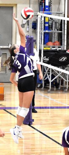 Terrier volleyball season in full swing | Sports | terrytribune.com