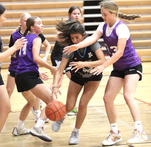 Summer Hoops | | terrytribune.com