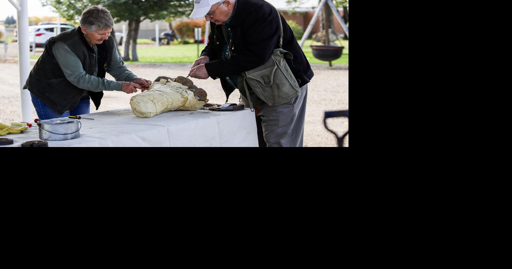 National Fossil Day | News | terrytribune.com