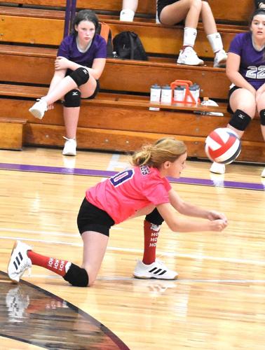 Terrier volleyball season in full swing | Sports | terrytribune.com