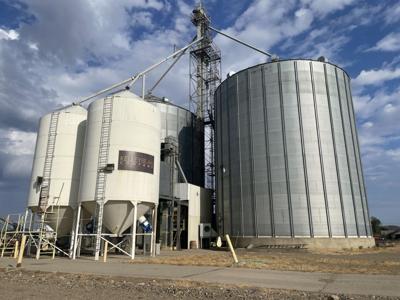 Despite tough season, beans remain strong crop for eastern Montana ...