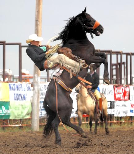 Terry Fourth of July Rodeo | News | terrytribune.com