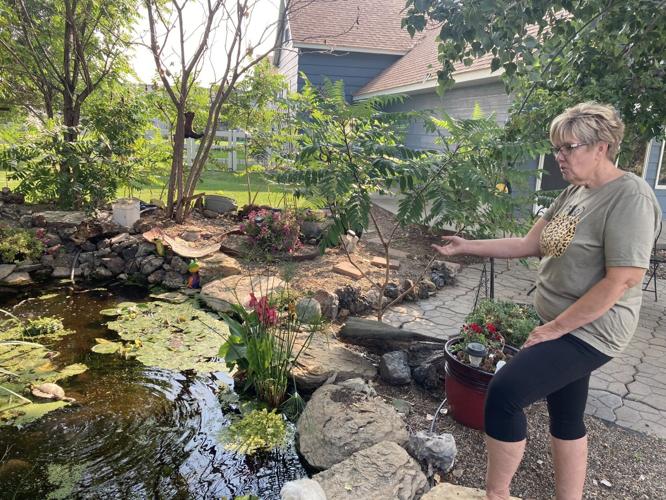 Yard Tour | News | terrytribune.com
