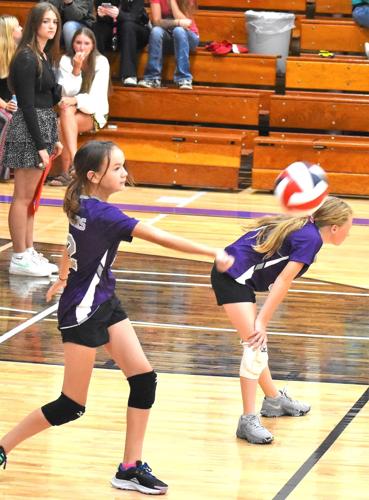 Terrier volleyball season in full swing | Sports | terrytribune.com