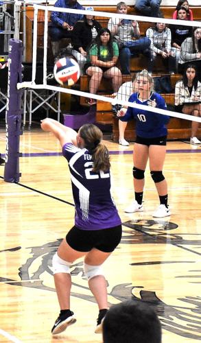 Lady Terrier Volleyball | Sports | terrytribune.com