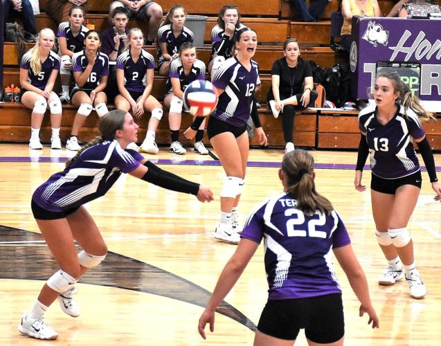 Lady Terrier Volleyball | Sports | terrytribune.com