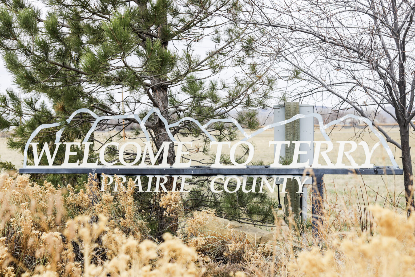 terrytribune.com | Terry Tribune