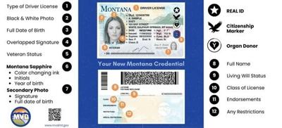 Montana Motor Vehicle Division launches new driver licenses and IDs ...