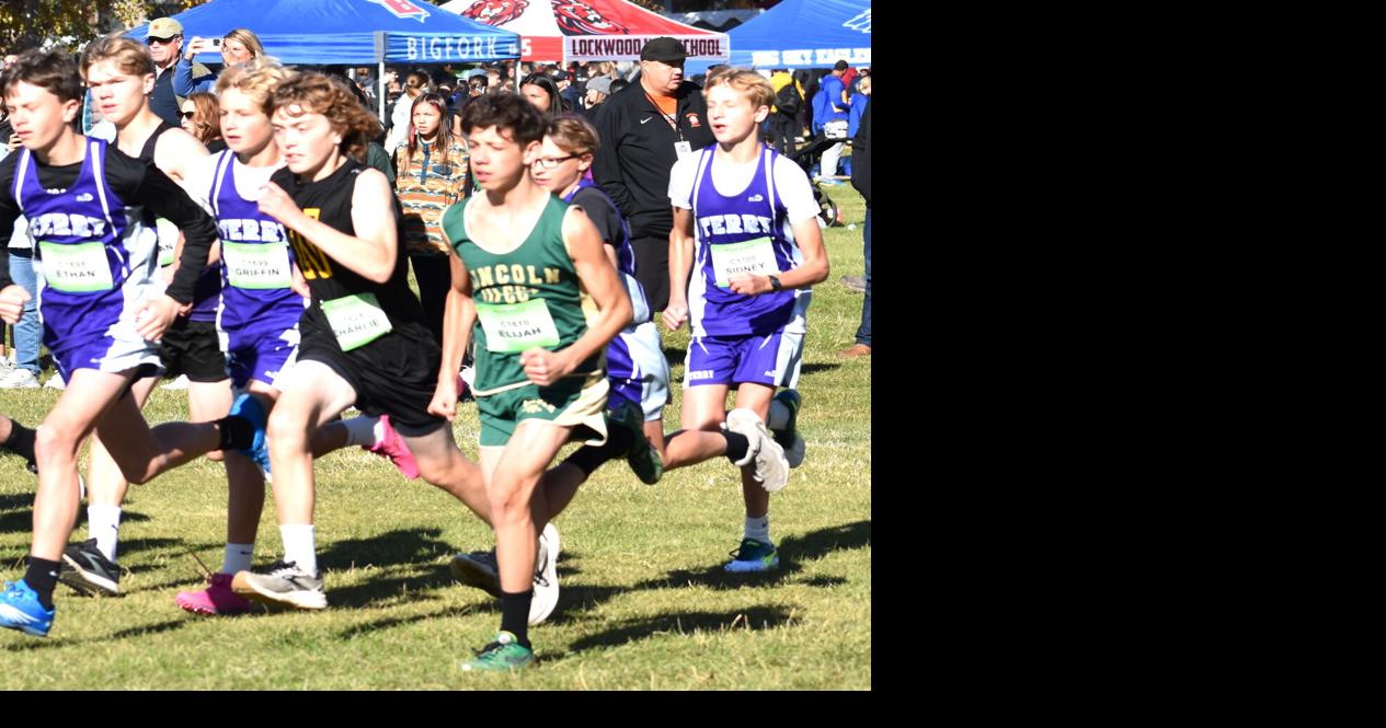 Cross country program reboot proves successful | Sports | terrytribune.com