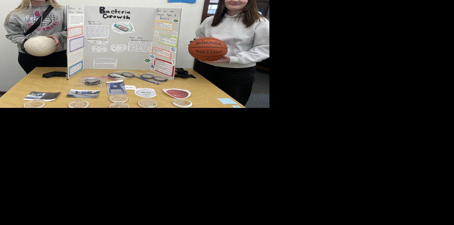 Terry Science Fair erupts with curiosity and creativity | News ...